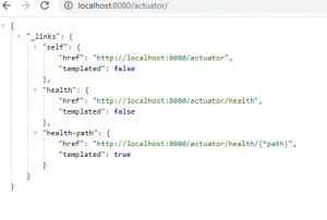 Actuator in Spring Boot - Spring Framework Guru